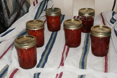 Ten Swamp Dogies II: POKEBERRY